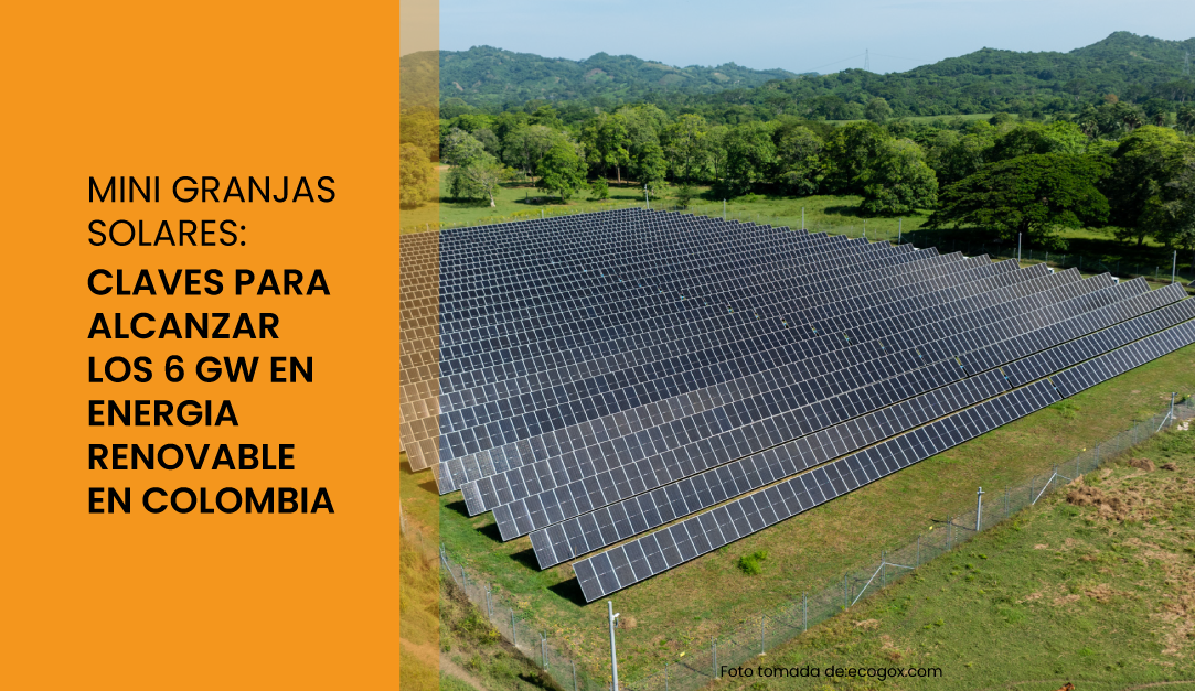Mini Granjas Solares: Claves para Alcanzar los 6 GW en Energía ...